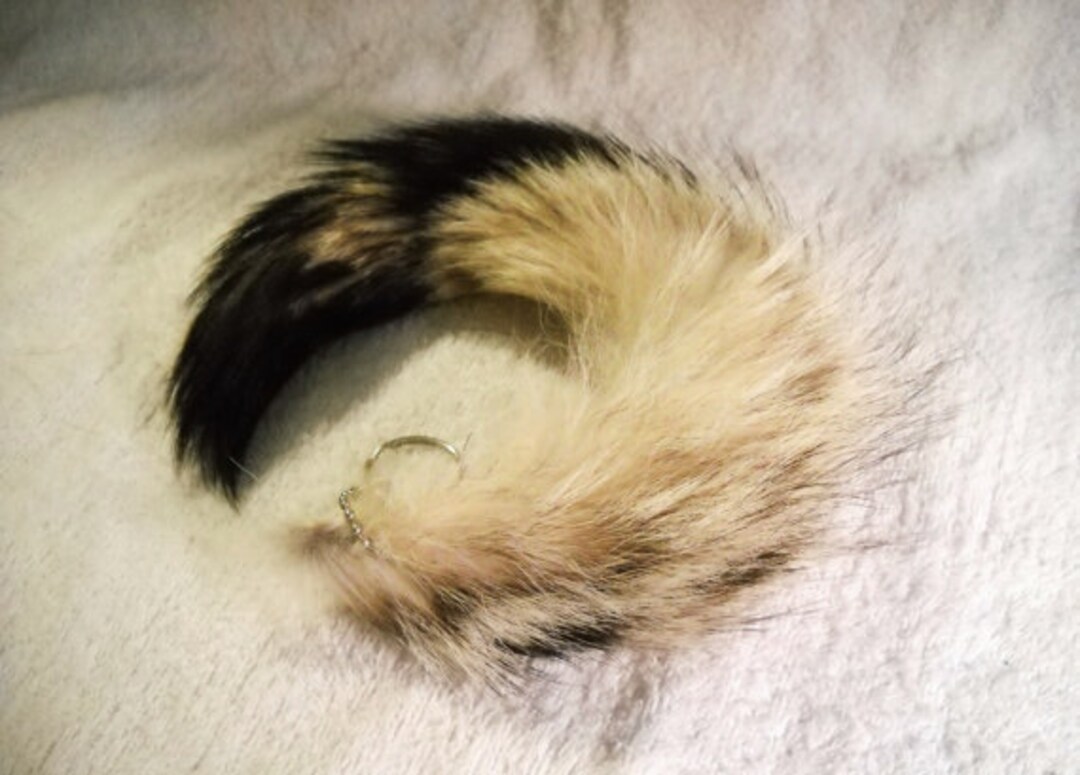 12"-15" Kit Fox Fur Tail Real Furry Totem Keychain Key Ring Ornament ...