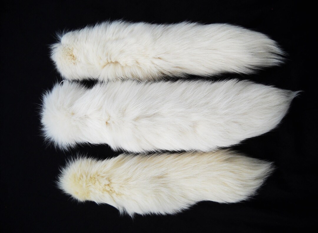 13" to 14" White Arctic Fox Tail Real Fur Totem Keychain Key Ring ...