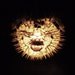 7-10 Hanging Light Puffer Fish Real Blowfish Lamp Taxidermy Animal ...