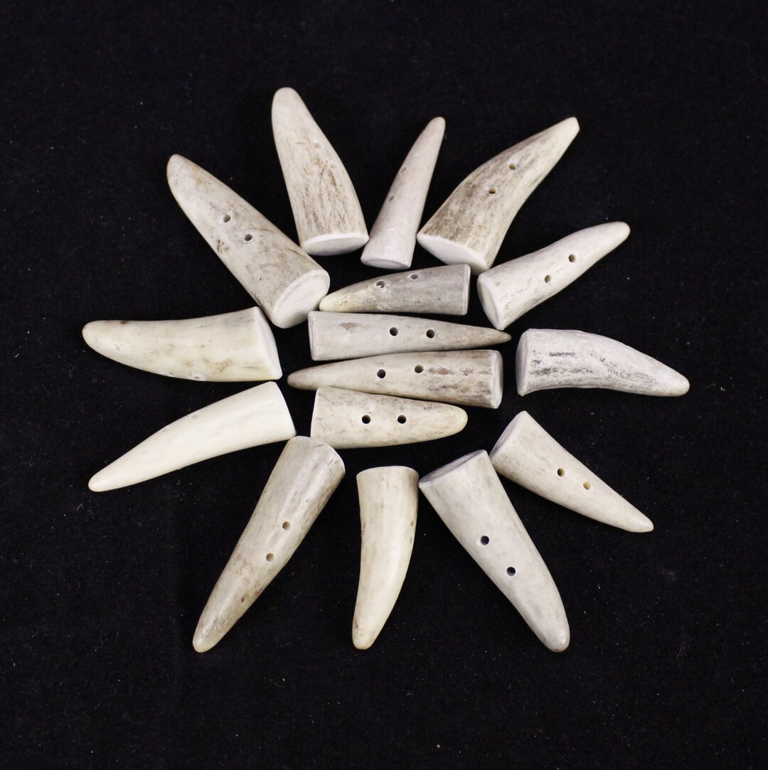 Multipack 1-1.5" Antler Tip DRILLED TOGGLE 2 HOLE Real Deer Bone ...