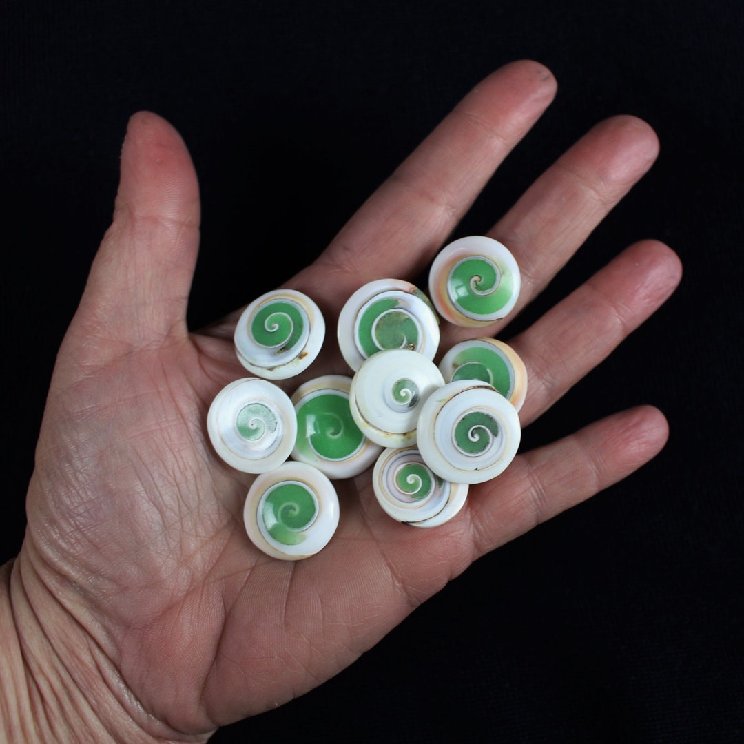 Multipack 5/8 to 1 GLOW INTHE DARK Cat's Eye Shell Shiva Trapdoor ...