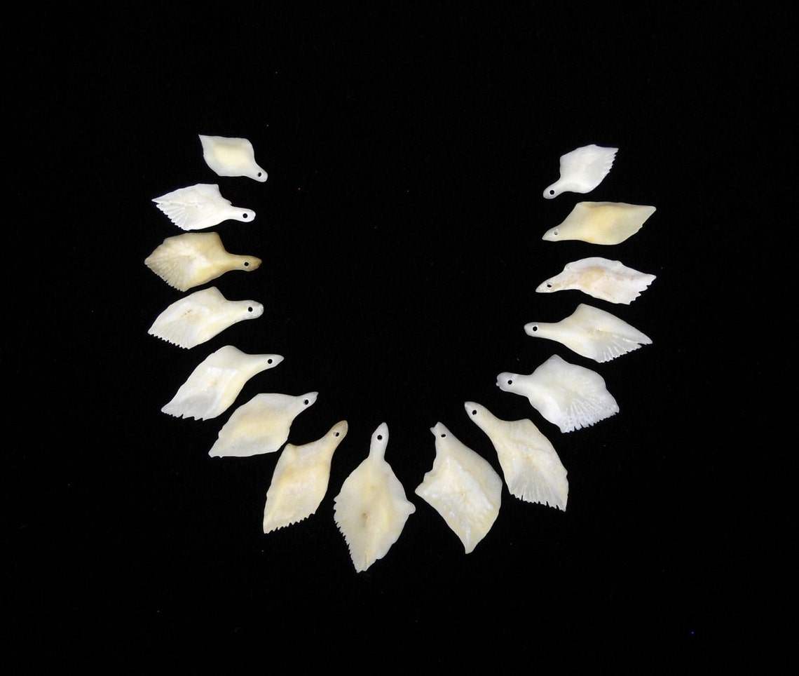 15 DRILLED .751.5 Gar Bone Scales Real Taxidermy | Etsy