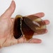 Multipack 1.5-3" Agate Slices Root Beer Brown Polished Dyed Slabs ...