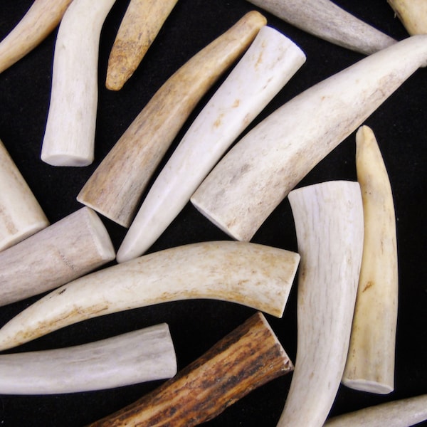 Deer Bone - Etsy
