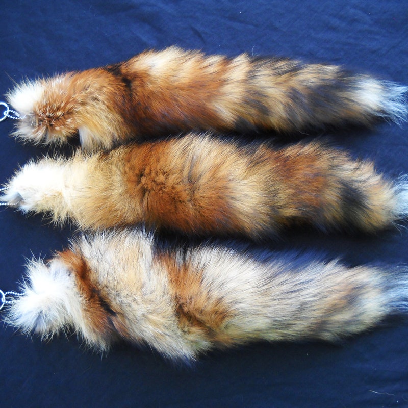 Real Fox Tails Keychain - Etsy