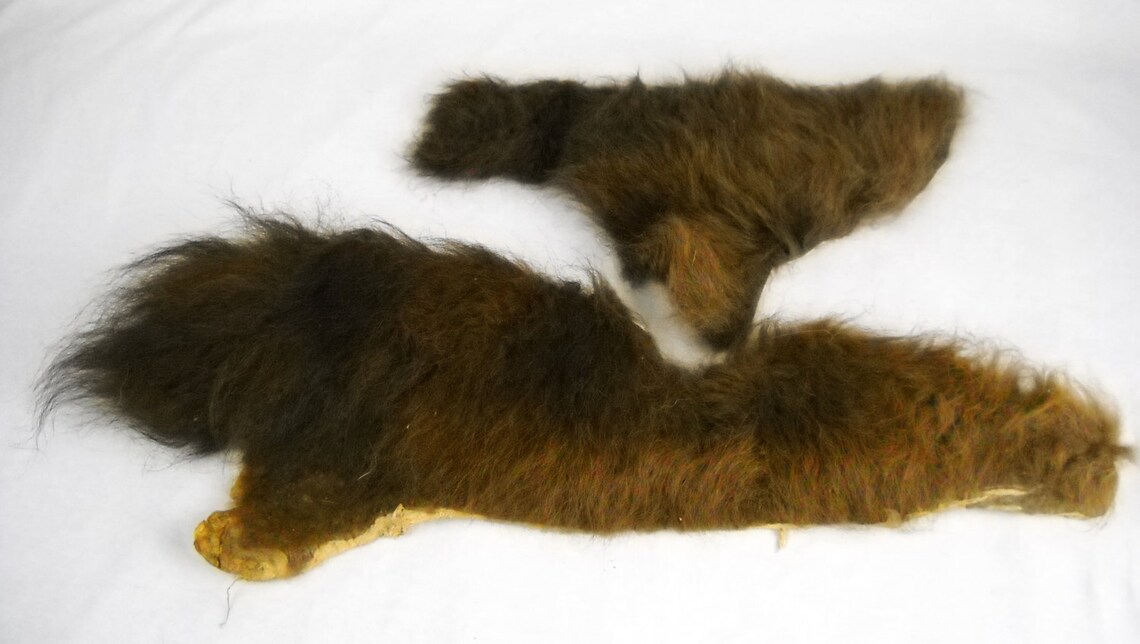 Grade A Buffalo Fur by the Pound Bison Pelt Fur Hide Furry Tanned ...