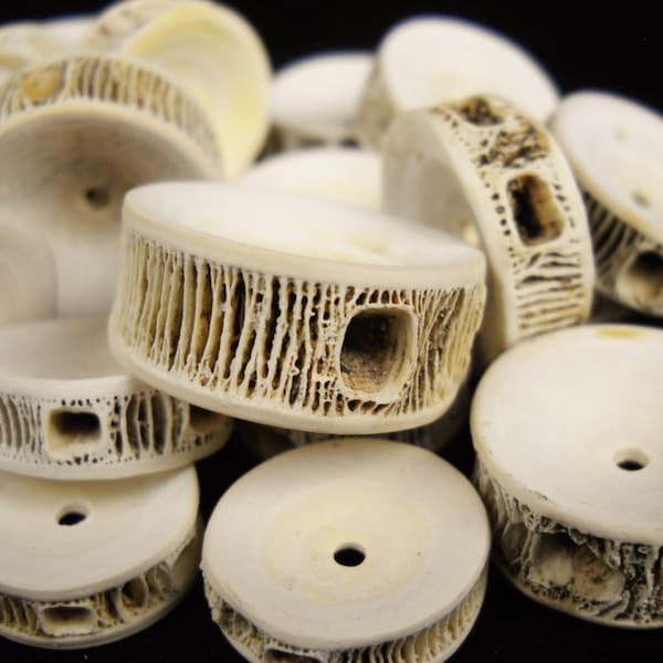 Shark Vertebrae - Etsy