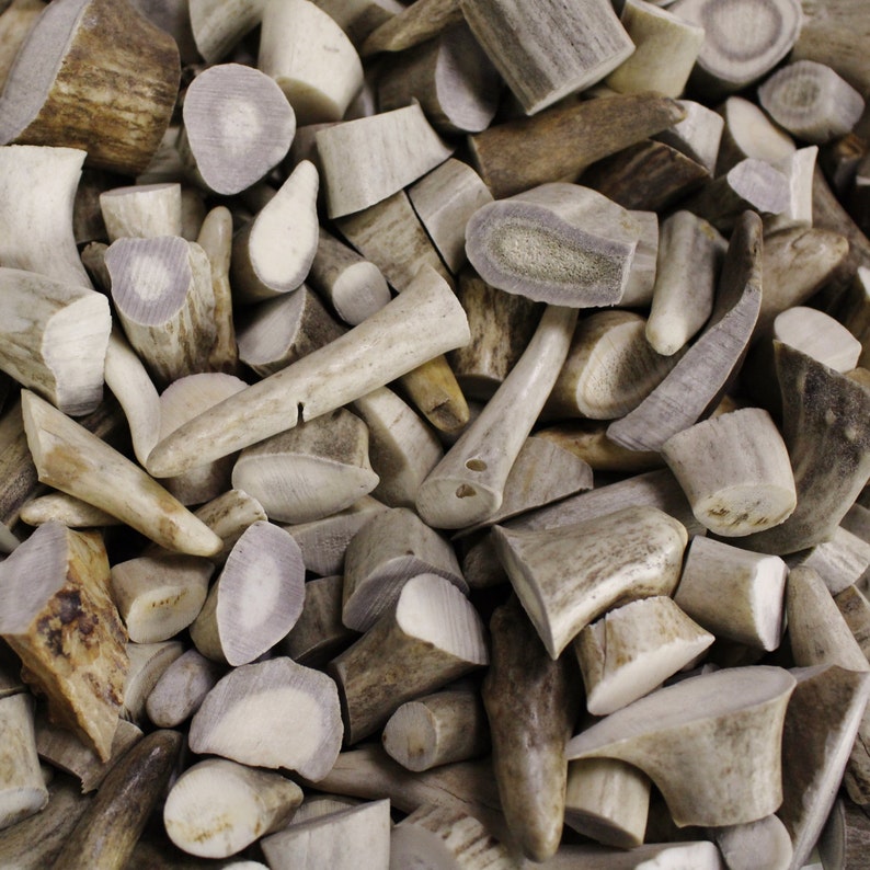 Antler Ends and Pieces by the Ounce Real Deer Bone Scrap Destash ...