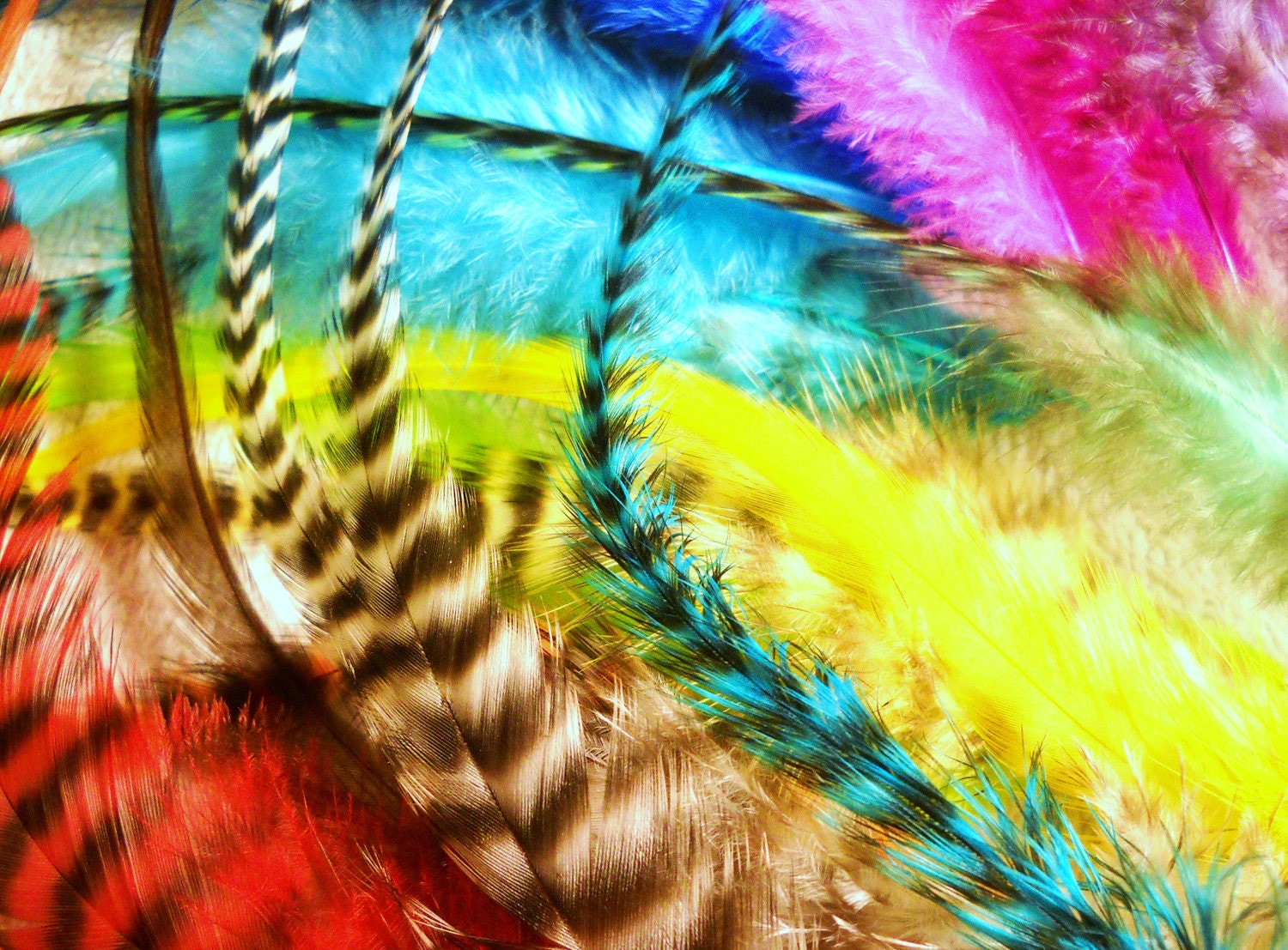 Multipack 2"-6" Fuzzy Rooster Feathers Wholesale Grizzly Saddle Hackle ...