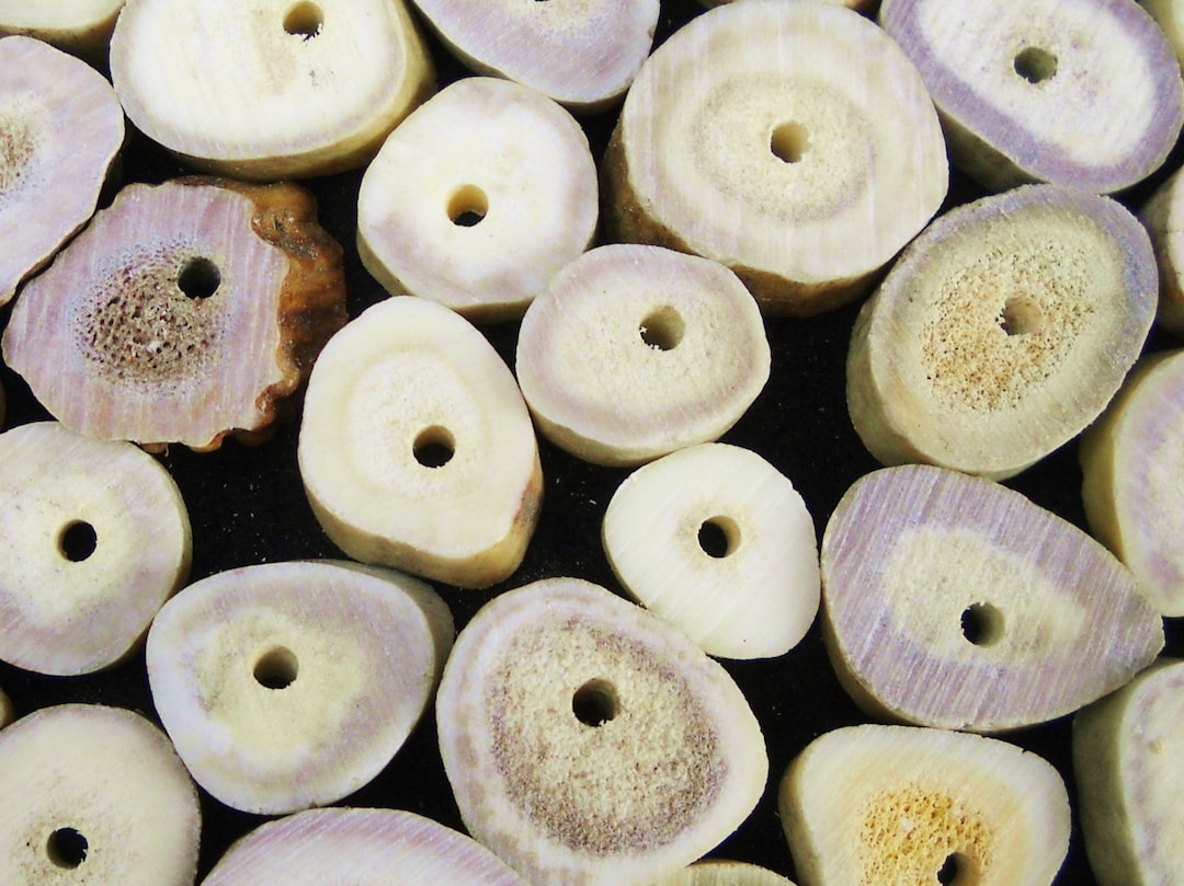 Multipack 1/2"-1" DRILLED Antler Button Beads Real Deer Tine Slices Tip ...