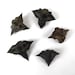 1.5" Approx Bat Devil Caltrops DRILLED or UNDRILLED Real Wood Nut ...