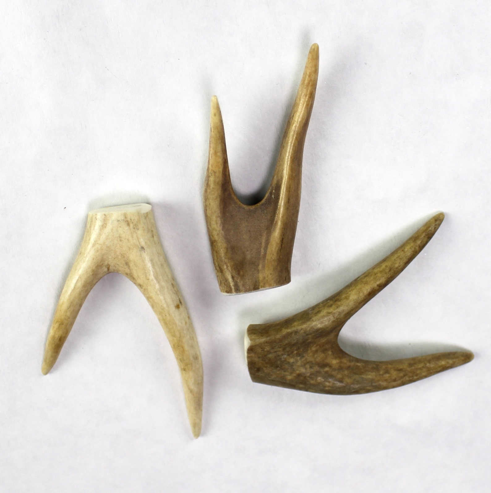 Multipack 3-5 WHOLE Antler Forks Real Deer Bone - Etsy
