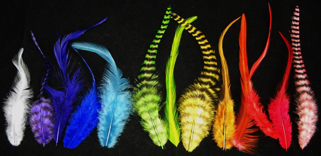 Multipack 2"-6" Fuzzy Rooster Feathers Wholesale Grizzly Saddle Hackle ...