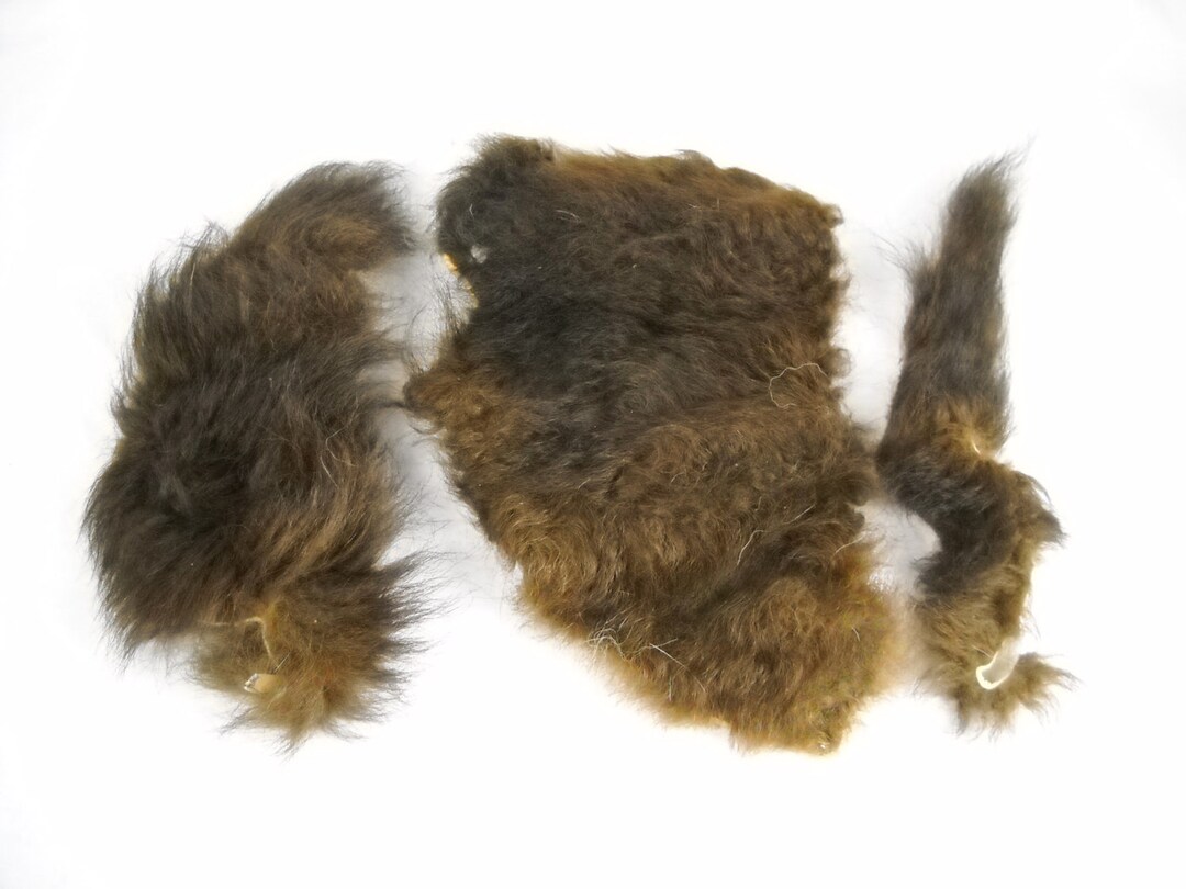 Grade A Buffalo Fur by the Pound Bison Pelt Fur Hide Furry Tanned ...