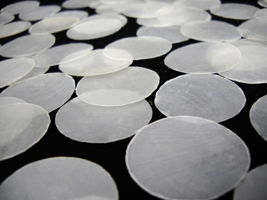 Multipack 1.5" Capiz Shell Round Flat Seashell Ocean Beach Nautical ...