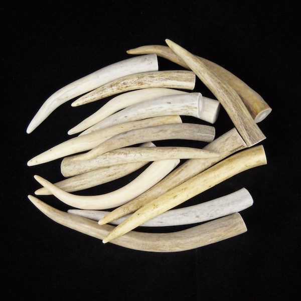 Real Deer Antlers - Etsy