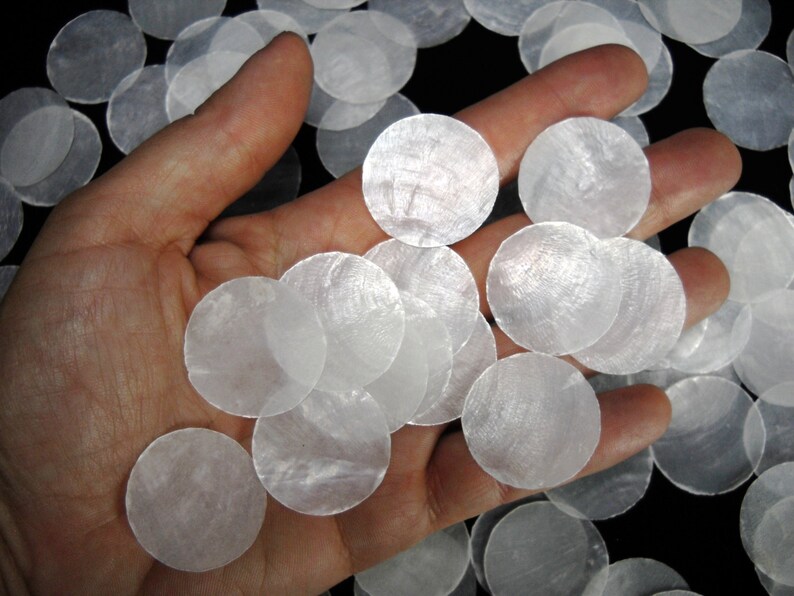 Multipack 1 Capiz shell round flat seashell ocean beach | Etsy