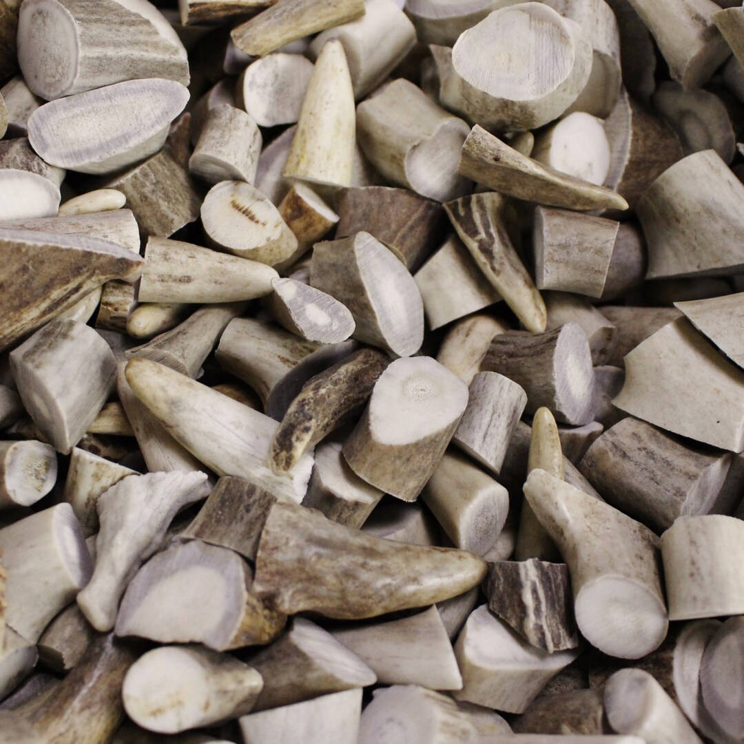 Antler Ends and Pieces by the Ounce Real Deer Bone Scrap Destash ...