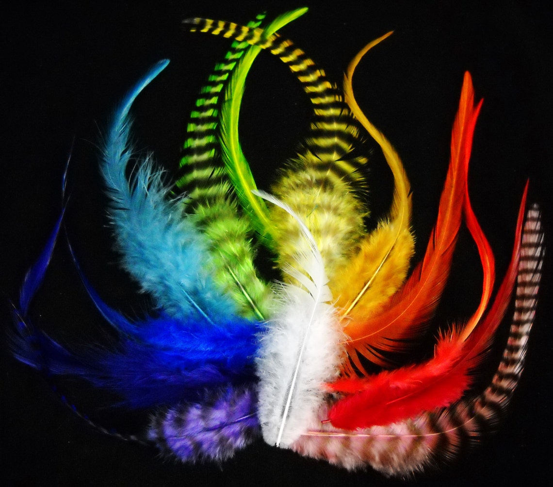 Multipack 2"-6" Fuzzy Rooster Feathers Wholesale Grizzly Saddle Hackle ...