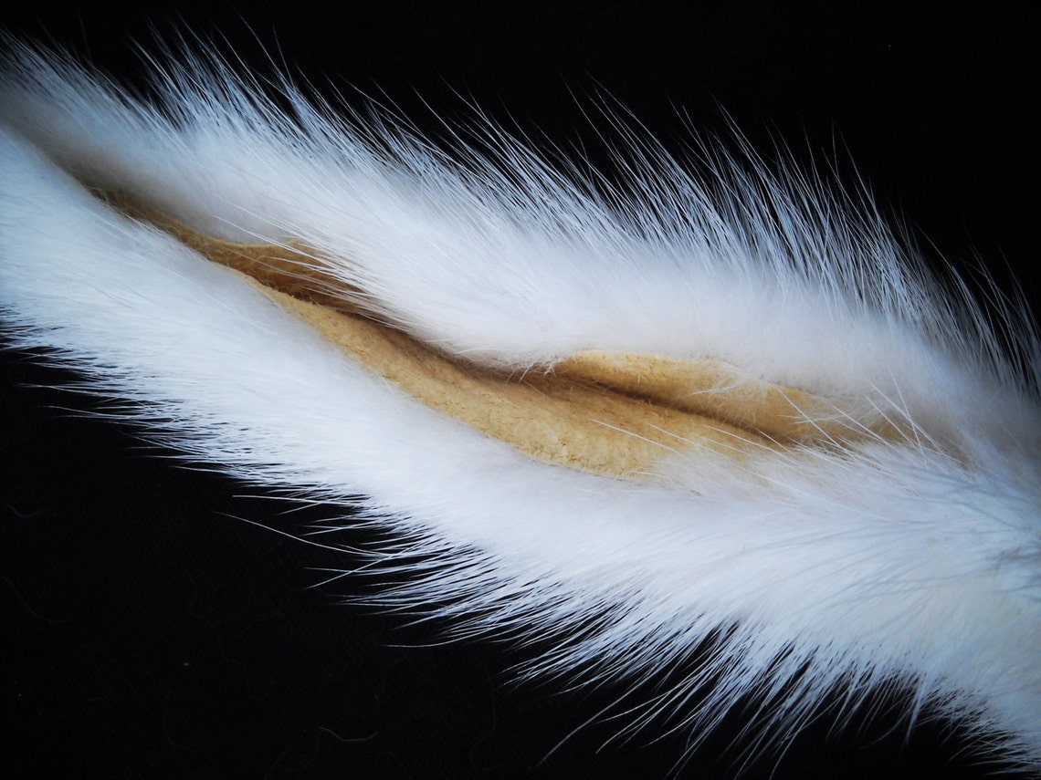 Real Mink Tail 10 to 12 White Fur Totem Keychain | Etsy