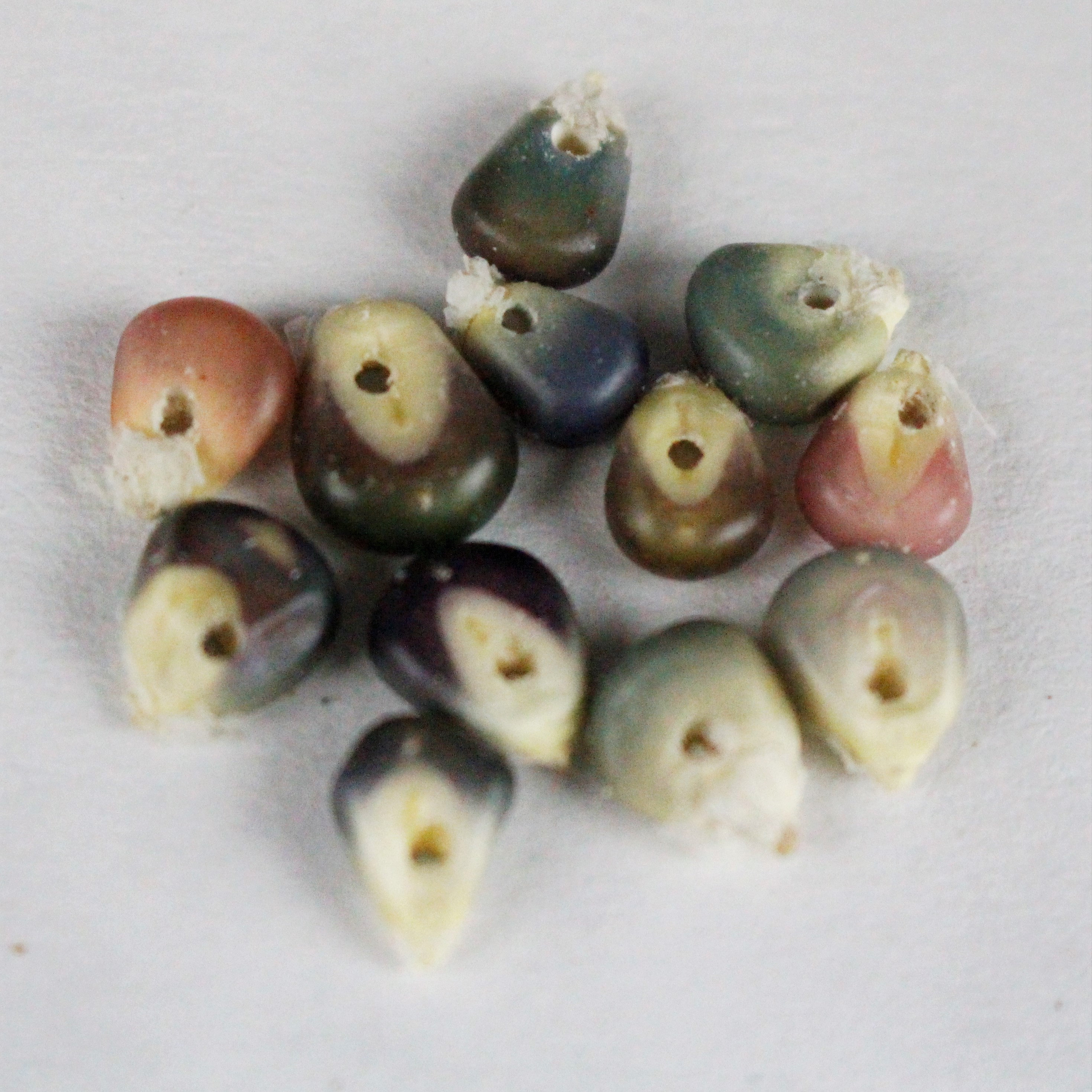 Glass Gem Corn Kernels DRILLED Natural Real Beads - Etsy