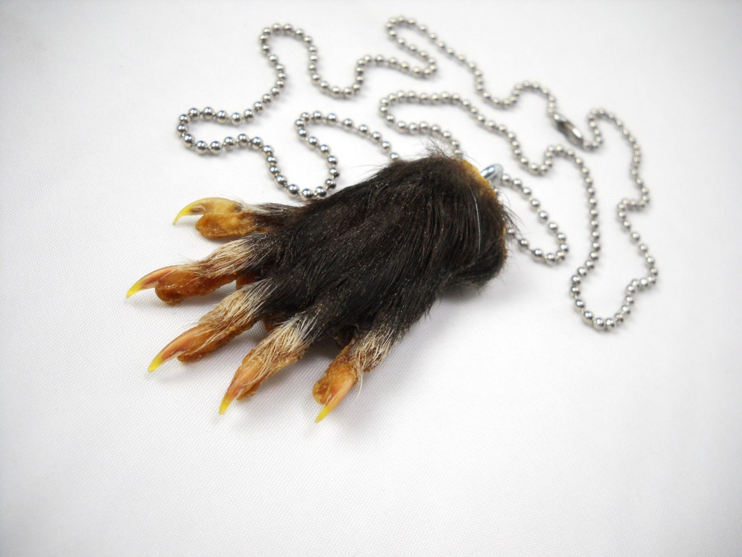 Possum Foot Necklace or Key Chain Real Paw Taxidermy Opossum - Etsy
