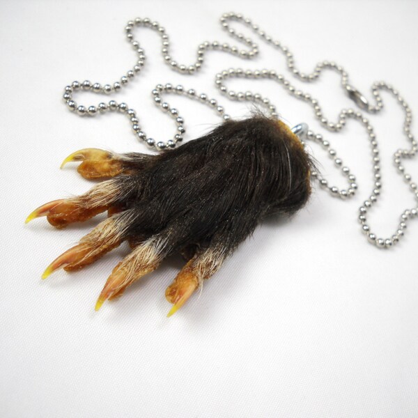 Paws and Claws - Etsy
