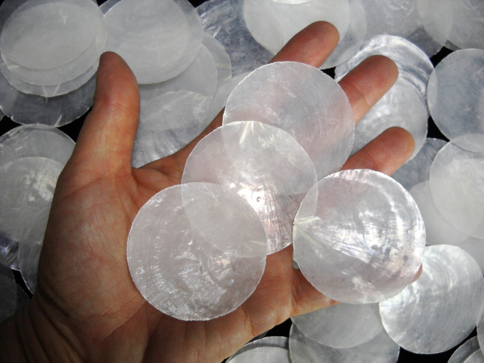 Multipack DRILLED 2 Capiz Shell Round Flat Seashell Ocean Beach ...