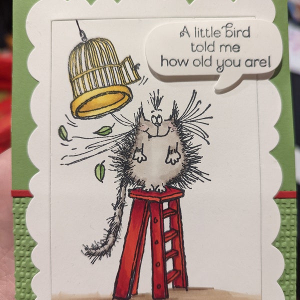 Little Birdie Told - Etsy