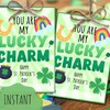 St Patricks Day Printable Find a Penny Gift Tag for Classmates Lucky ...