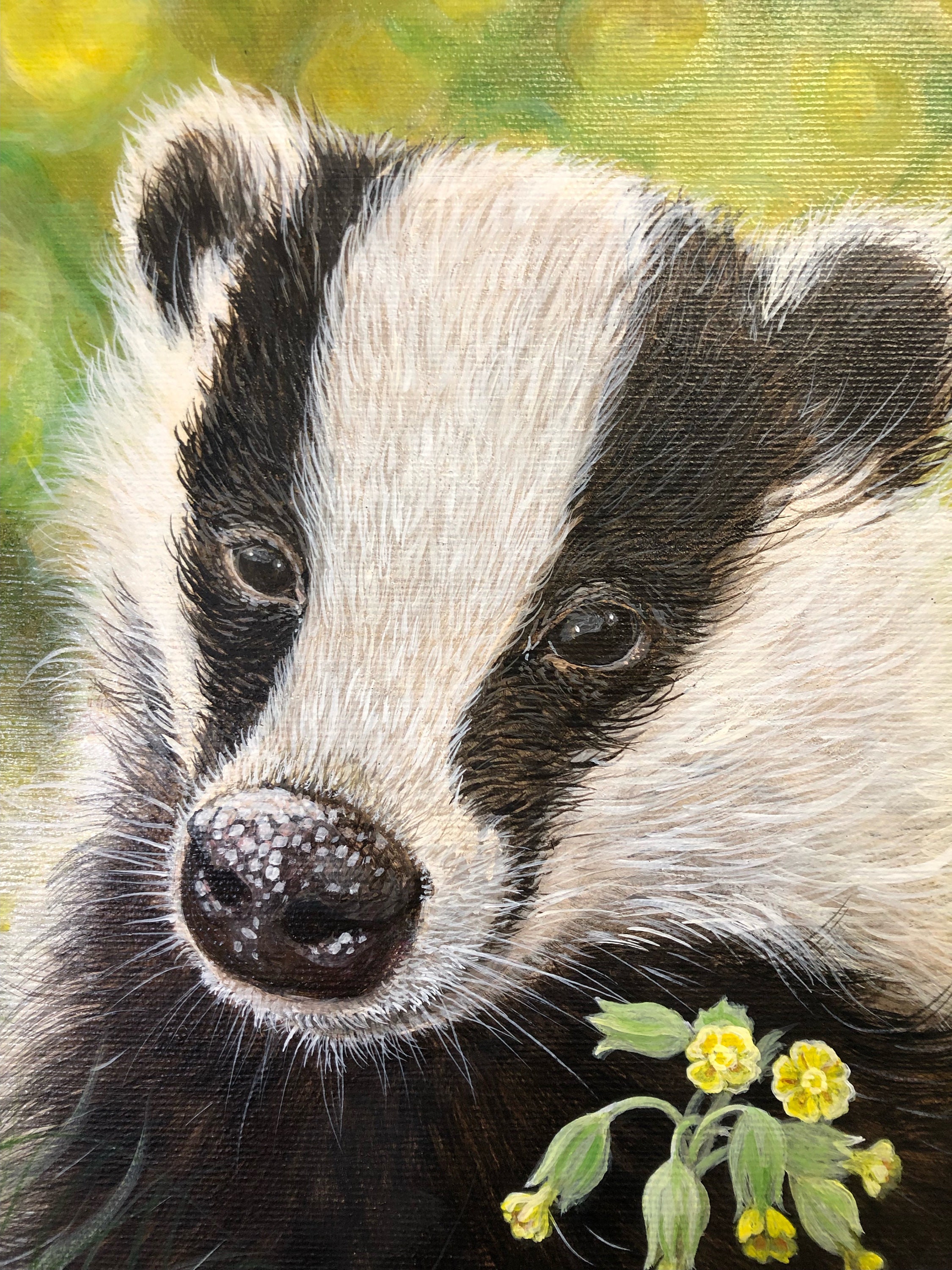 Giclée Art Print: "the First Flower of Spring", Badger, Primrose ...