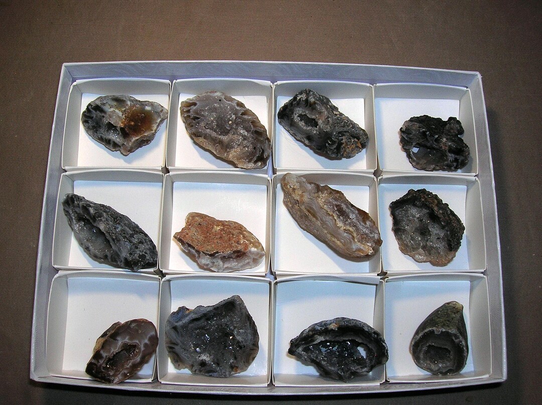 12 OCO Geodes Polished Agate Geode Halves M8955 - Etsy