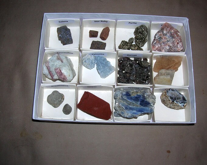 12pc Mineral Specimen Collection + Bonus M0113 - Etsy
