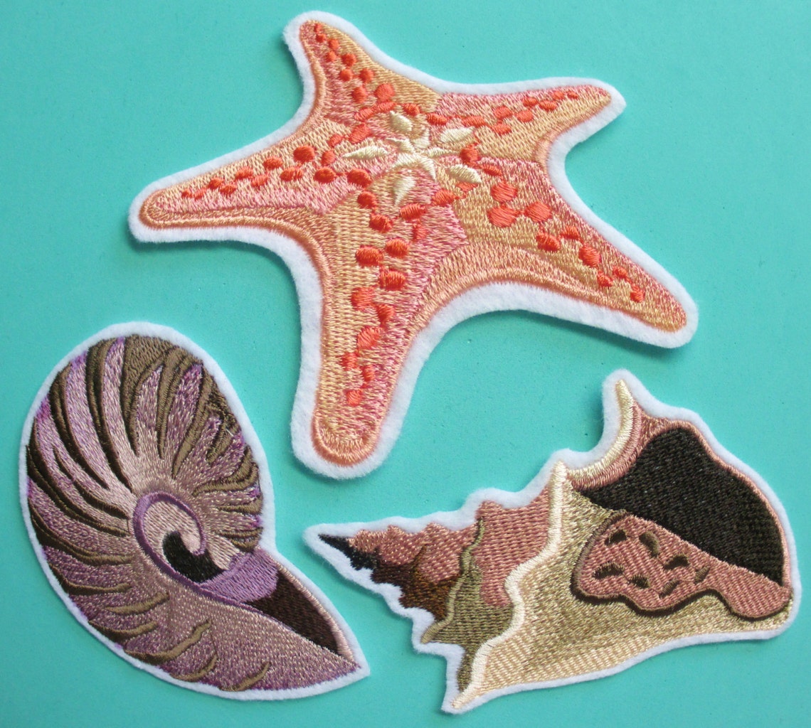 Set of 3 Embroidered Seashell Appliques Sun-sational - Etsy