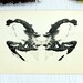 Real 1958 Holtzman Inkblot Plate Original Board, EXTREMELY RARE, Not ...
