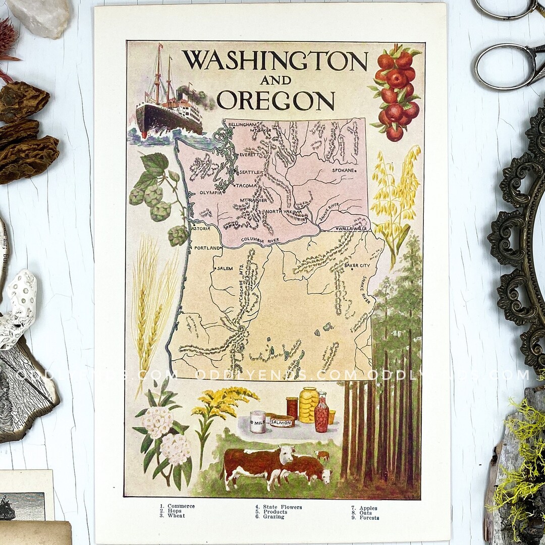 1920's Washington & Oregon State Resources, Not Reproduction, Vintage ...