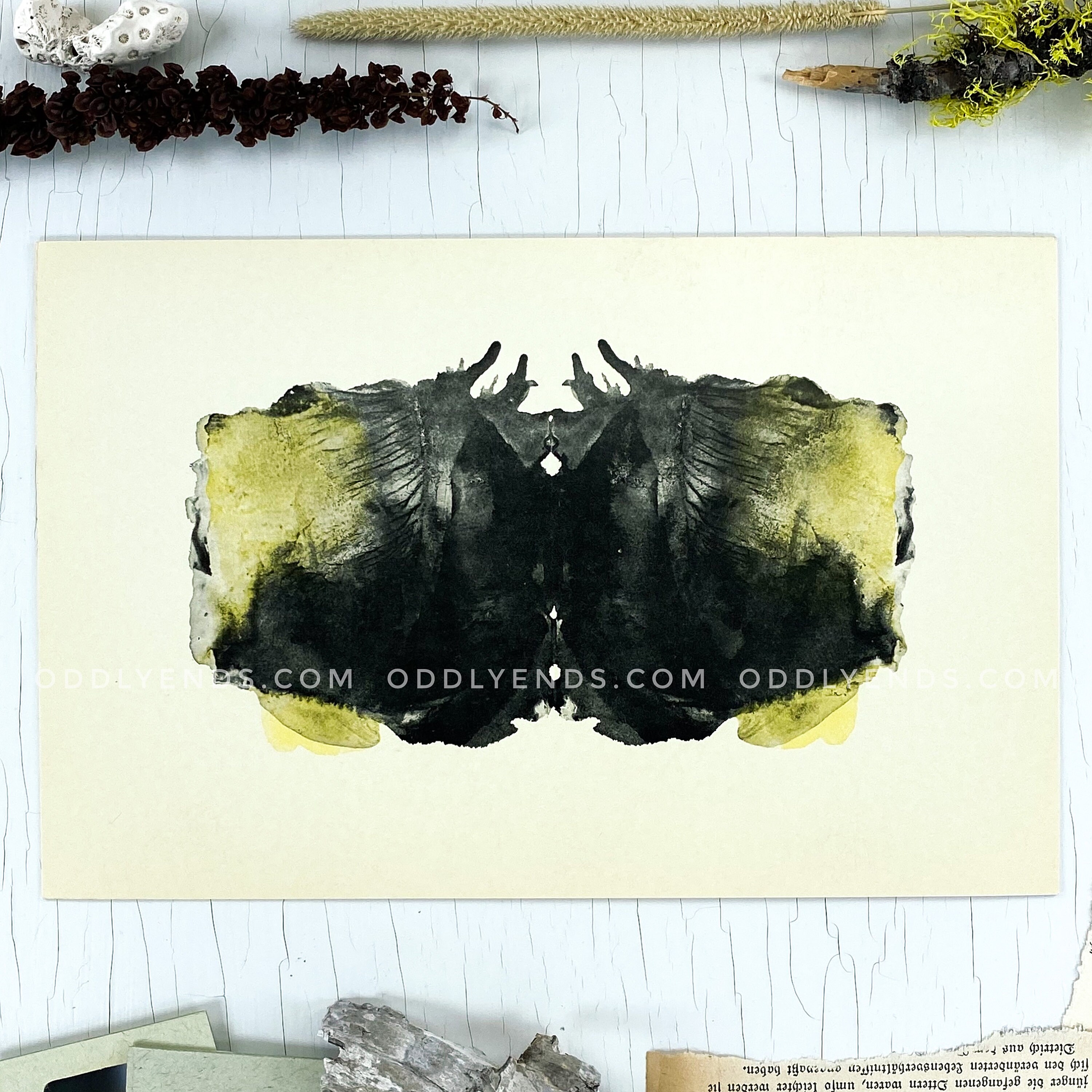 Real 1958 Holtzman Inkblot Plate Original Board EXTREMELY | Etsy