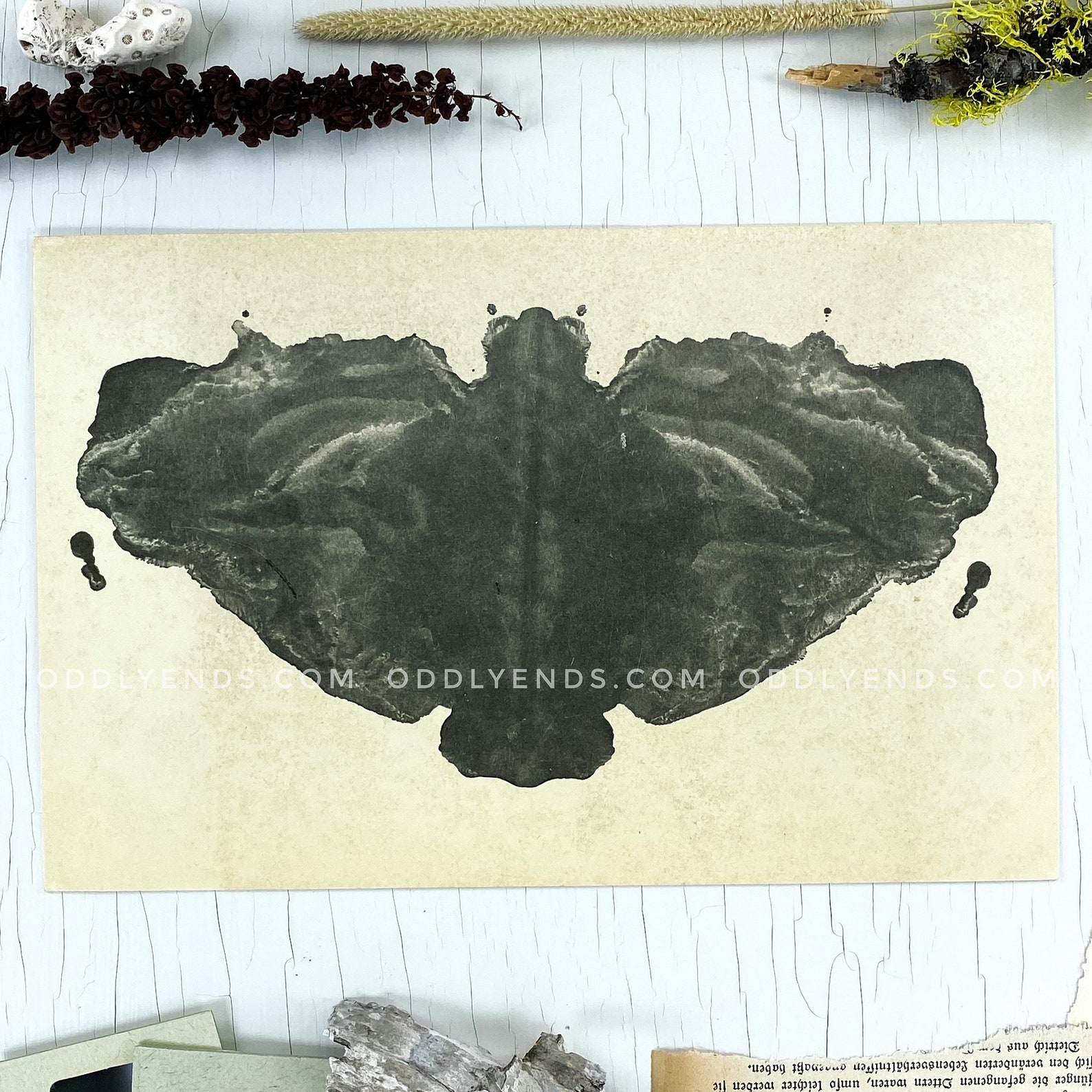 Real 1958 Holtzman Inkblot Plate Original Board, EXTREMELY RARE, Not ...