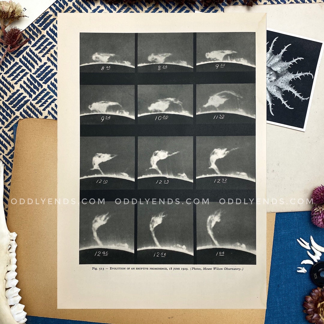 1950s Sun Solar Flares Chart, Vintage Space Astronomy, Not Reproduction ...