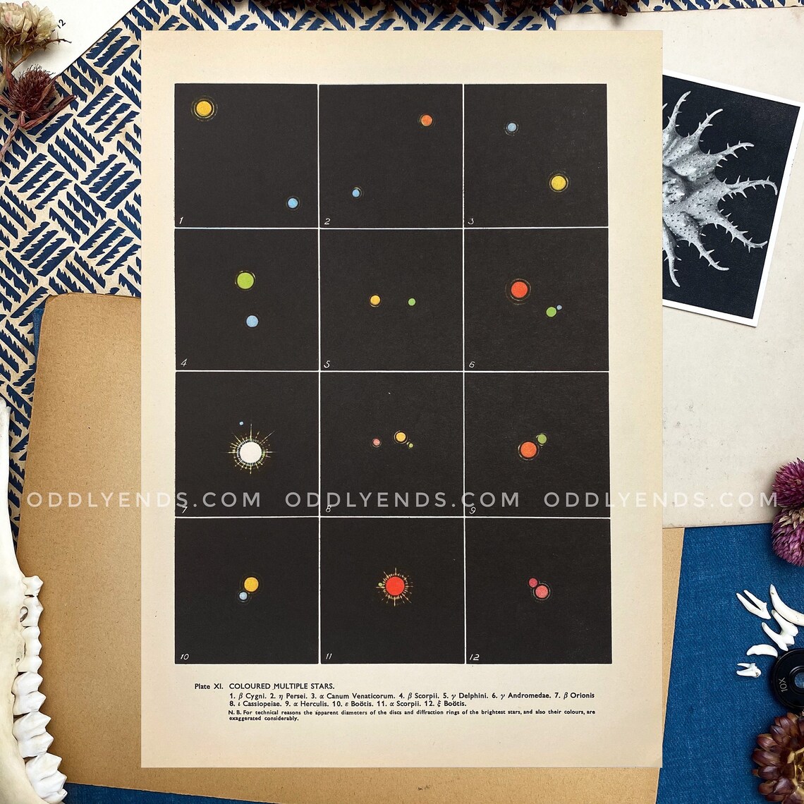 1950s Star Positions Vintage Space Astronomy Not - Etsy