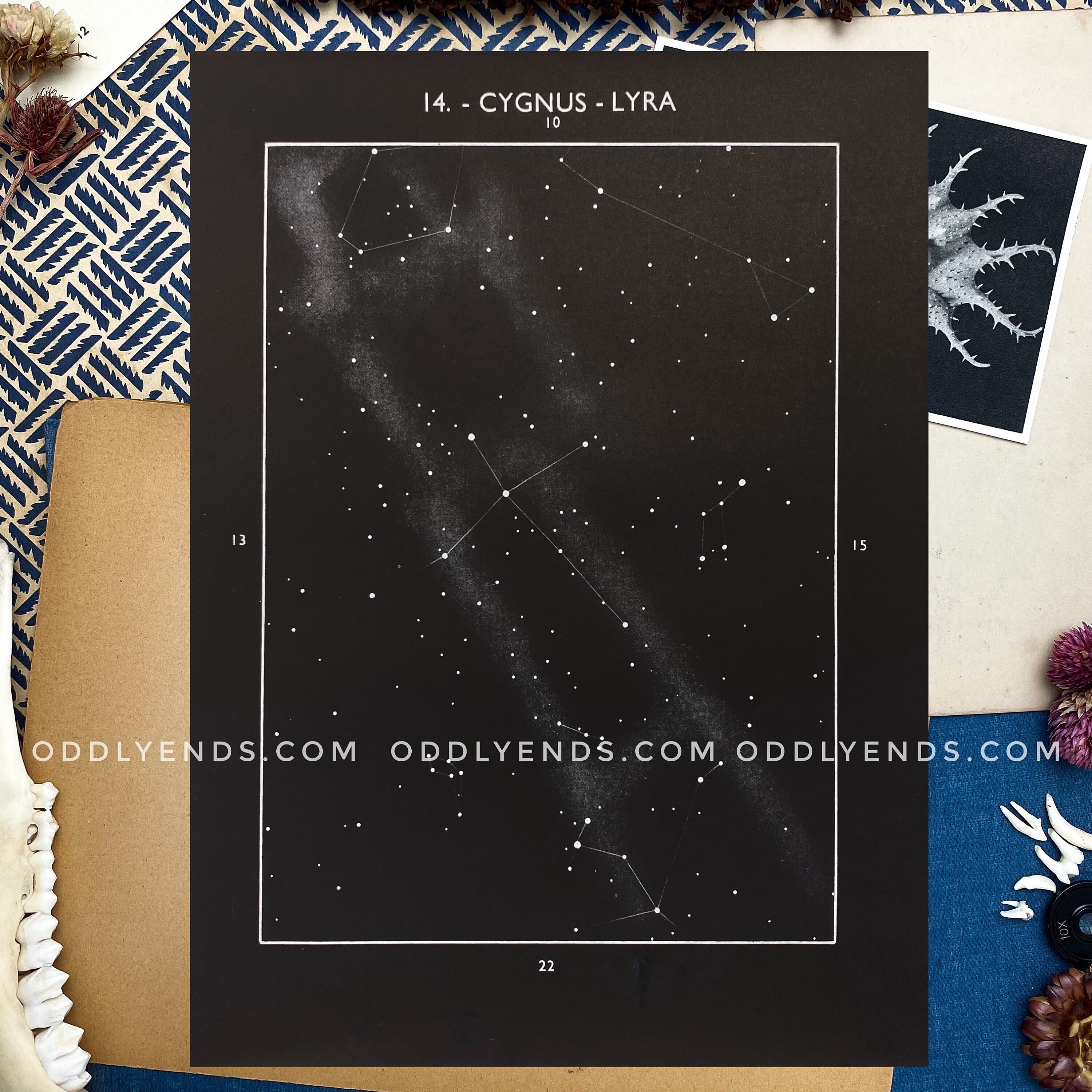 1950s Cygnus & Lyra Constellation Original Vintage Star Chart - Etsy
