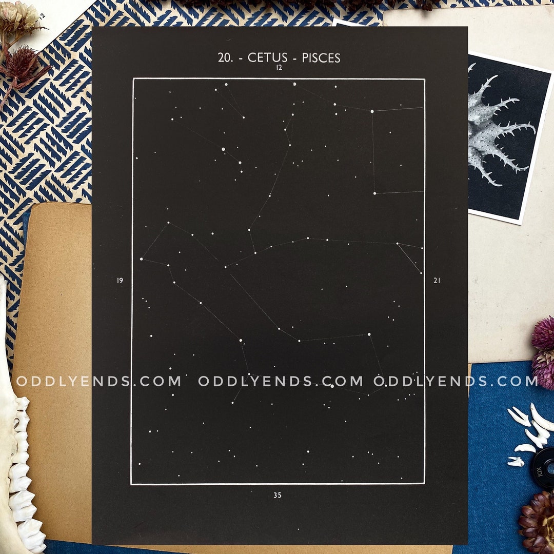 1950s Cetus & Pisces Constellation, Original Vintage Star Chart Space ...
