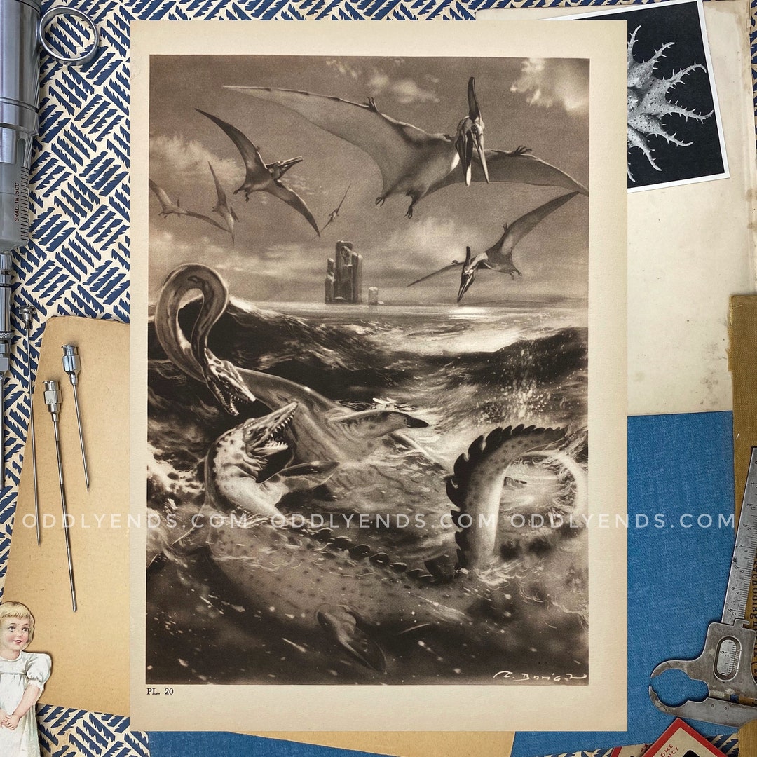 1960s Large Prehistoric Sea Life, Not Reproduction, Vintage Publication ...