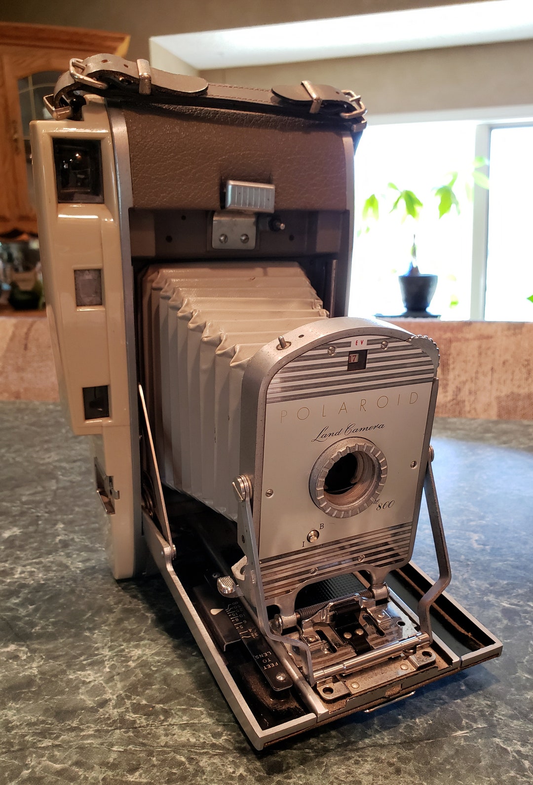 Vintage Polaroid Land Camera - Model 800 With Leather Strap - Etsy