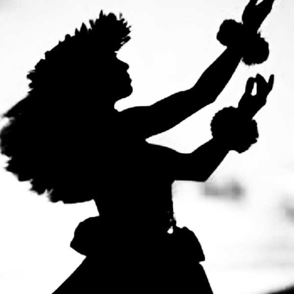 Pin up Hula Girl - Etsy