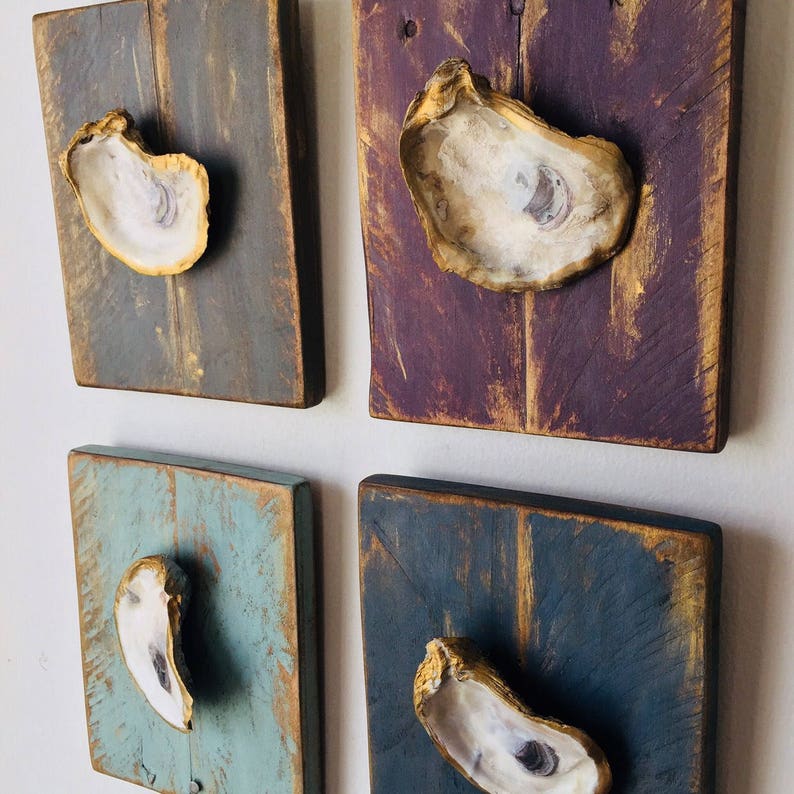 Oyster Shell Wall Decor - Etsy