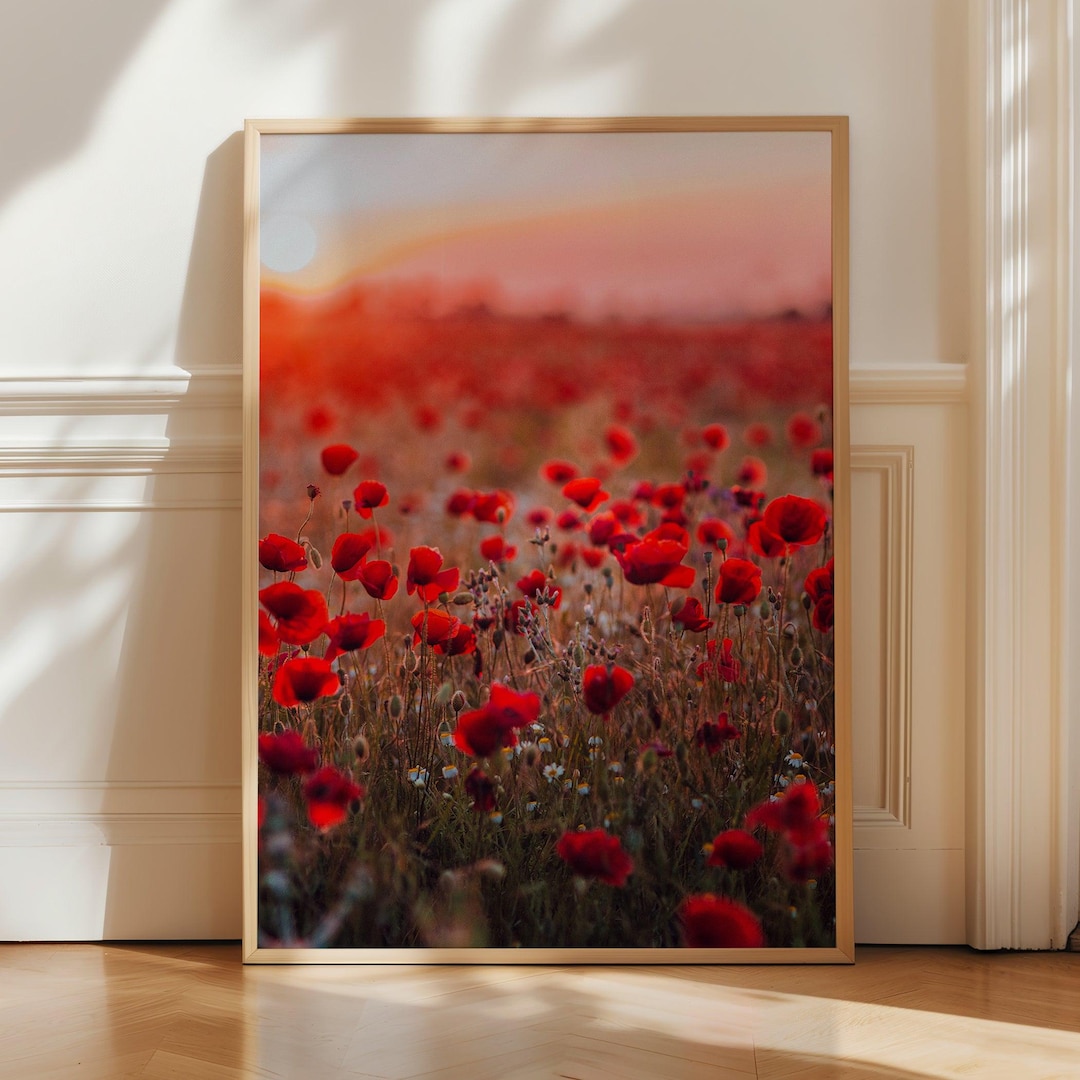 Poppy Landscape Nature Poster Print - Flower Field Wall Art - Sunset ...