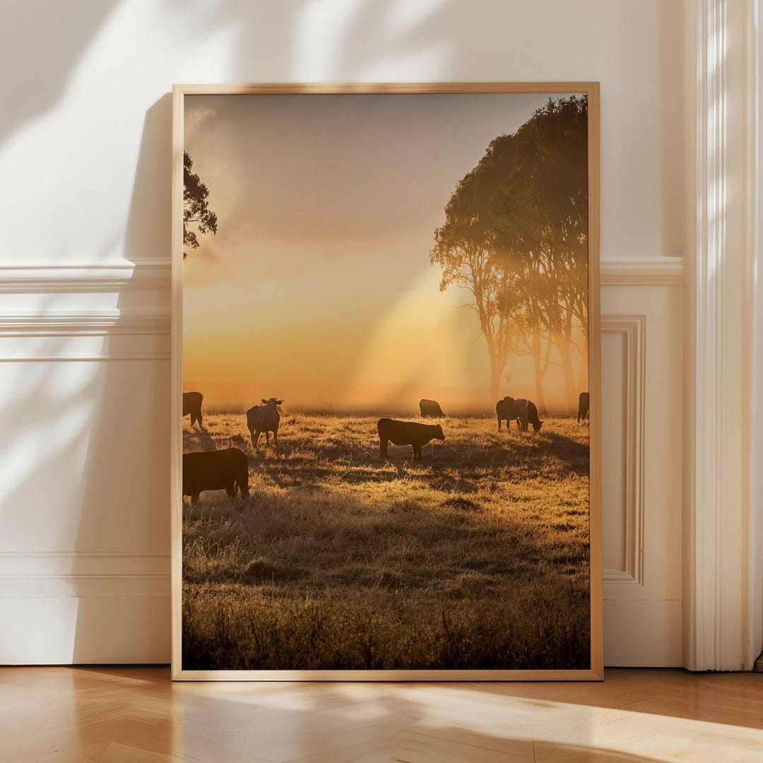 Cow Farm Animal Poster Print - Grazing Cows Wall Art - Sunrise Nature ...