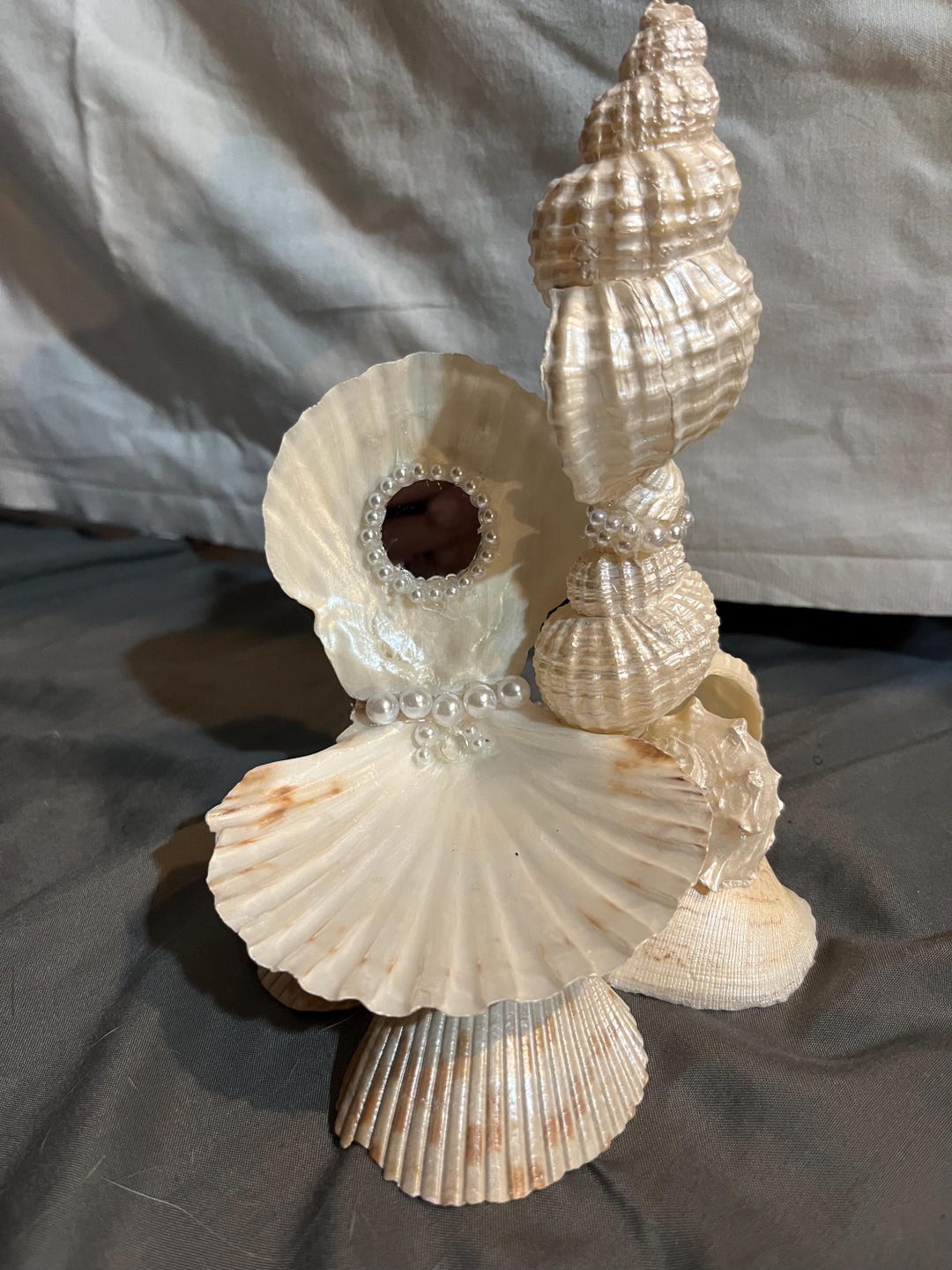 Sea Shell Jewelry Holder - Etsy