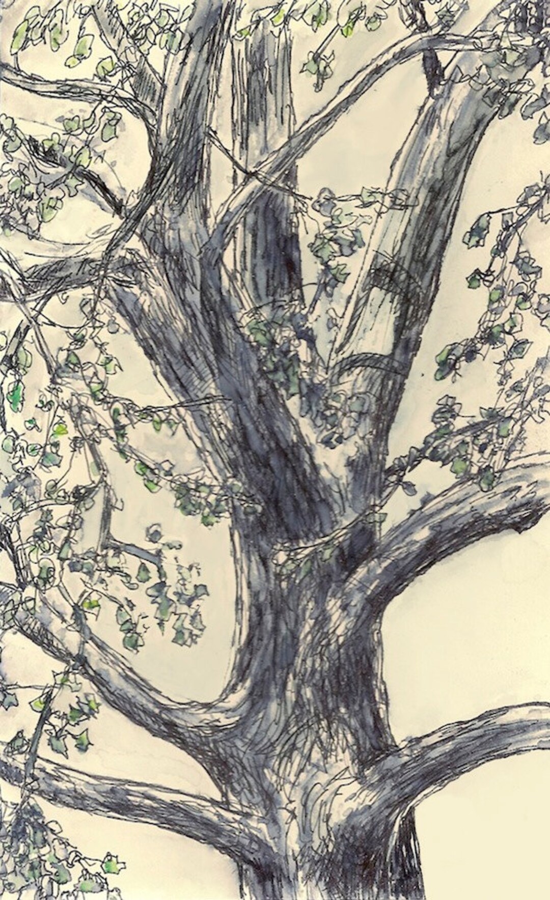 Oak Tree Ink Wash Painting, Any Wall Art Kids Wall Decor Hanging ...